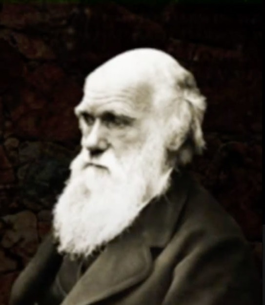 Join Us For What Hath Darwin Wrought This Thursday · Nrbtv